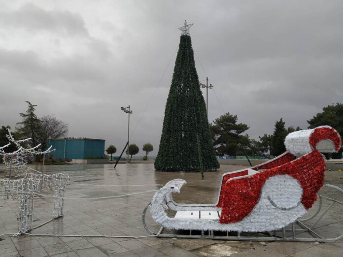 Ιωάννινα: Στήθηκε το χριστουγεννιάτικο δέντρο στην κεντρική πλατεία ...