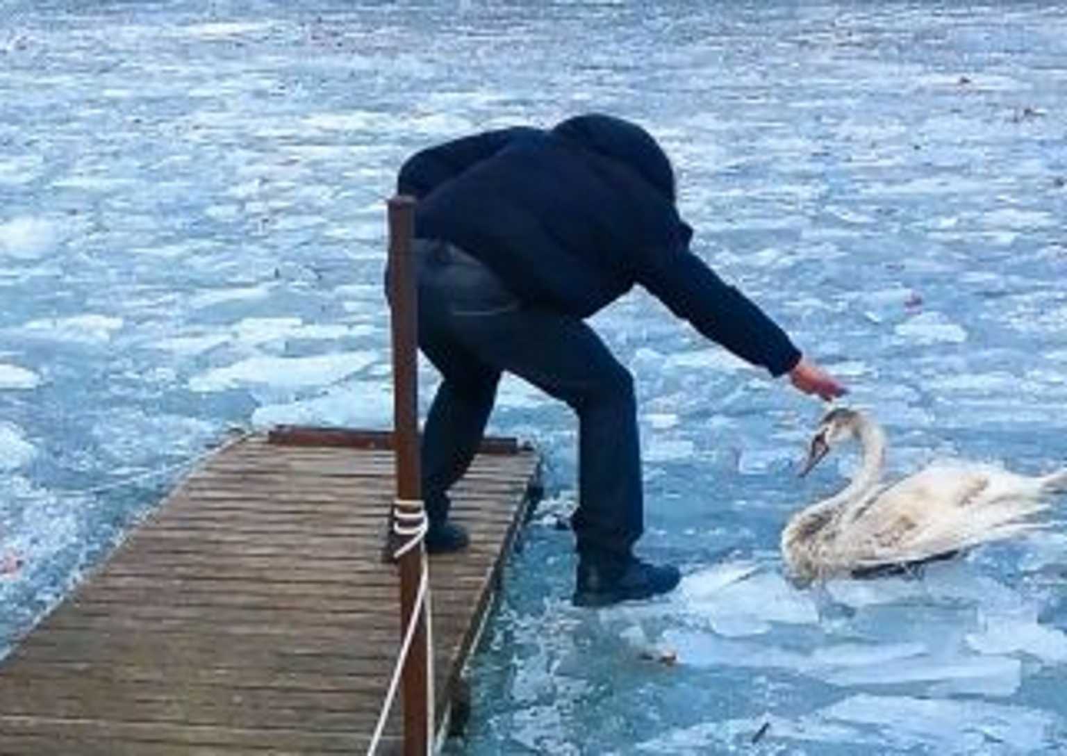 Εντυπωσιακές εικόνες από την παγωμένη λίμνη της Καστοριάς - EPIRUS Online