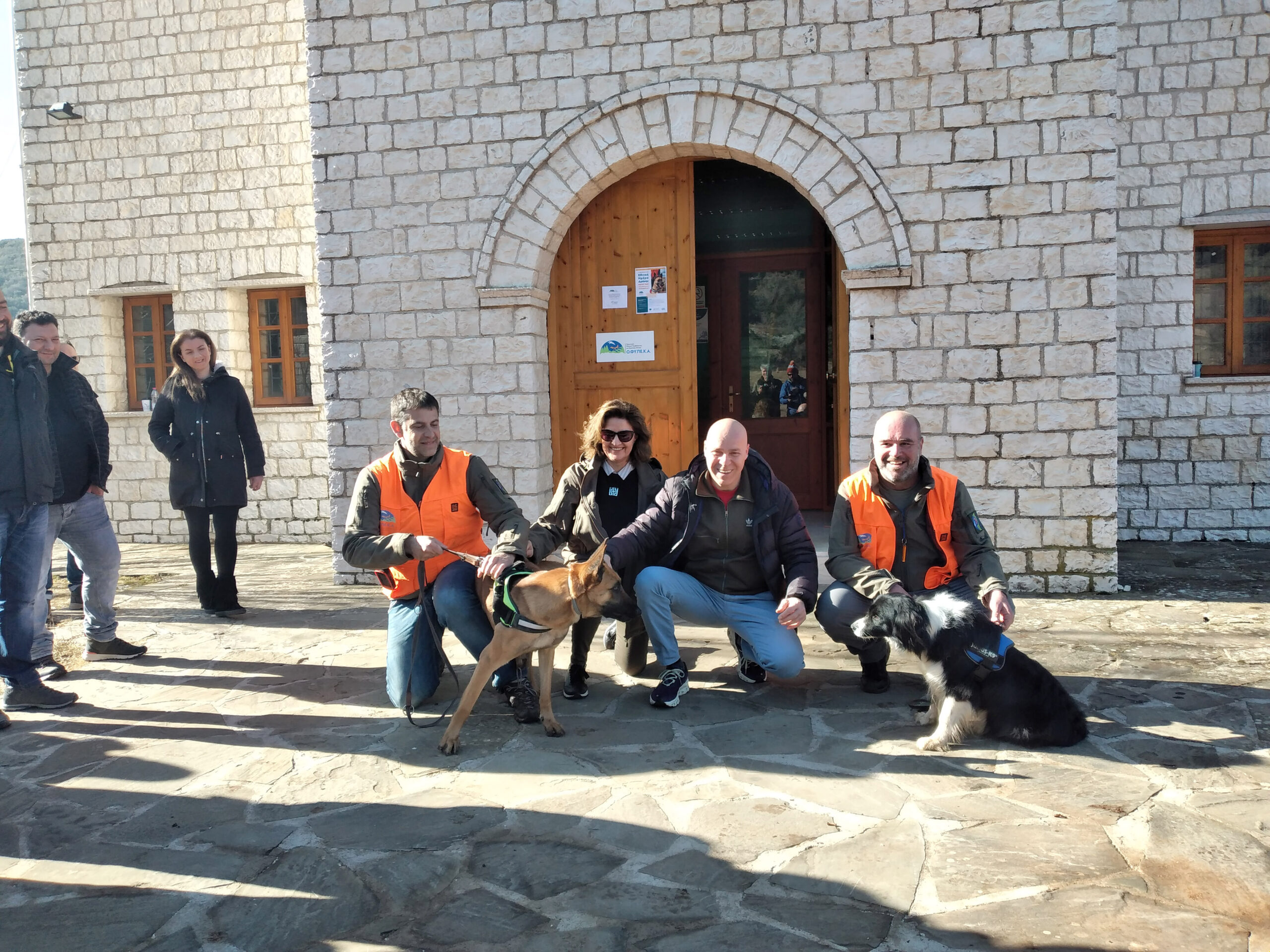 Σκύλοι ανίχνευσης ενάντια στα δηλητηριασμένα δολώματα - EPIRUS Online