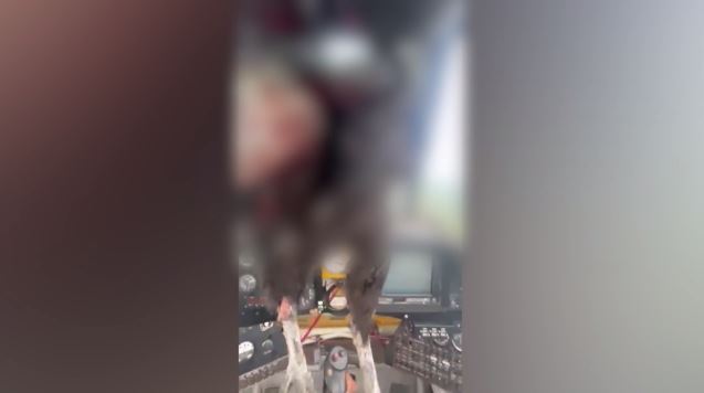 Τεράστιο πουλί χτύπησε στρατιωτικό αεροπλάνο στο Εκουαδόρ - EPIRUS Online