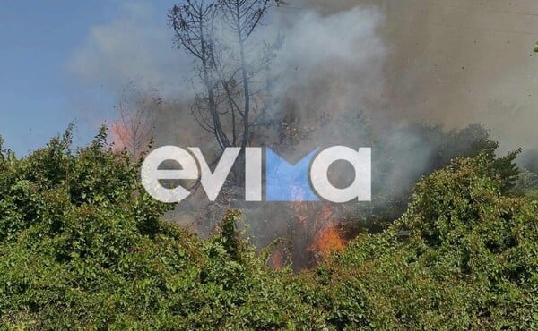 Νέα φωτιά στην Εύβοια - EPIRUS Online
