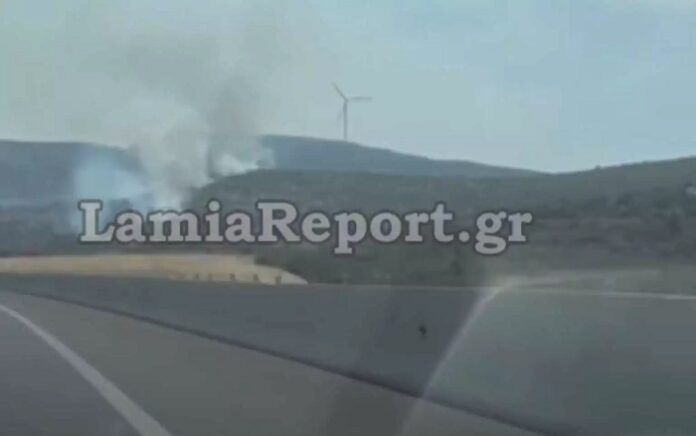 Φωτιά στην Εθνική Οδό Λαμίας –Αθηνών σε δασική έκταση (βίντεο) - EPIRUS ...