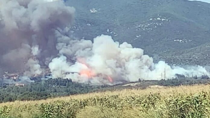 Έξι χώρες στέλνουν βοήθεια στην Ελλάδα για την αντιμετώπιση των ...