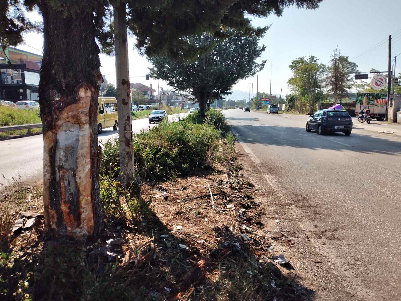 Νεκρός 31χρονος σε τροχαίο στην Εθνική - EPIRUS Online